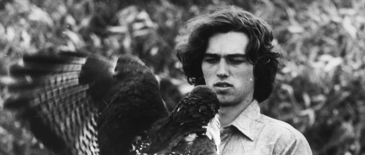 On Falconry – County Highway