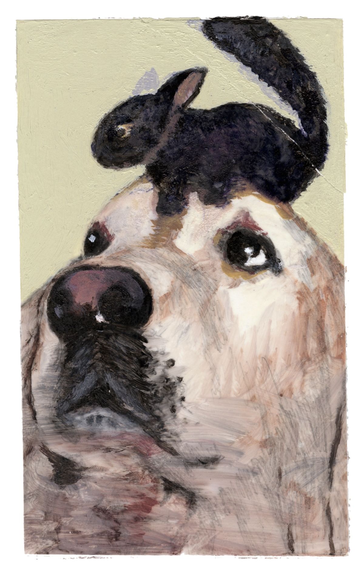 Feist Dogs – County Highway